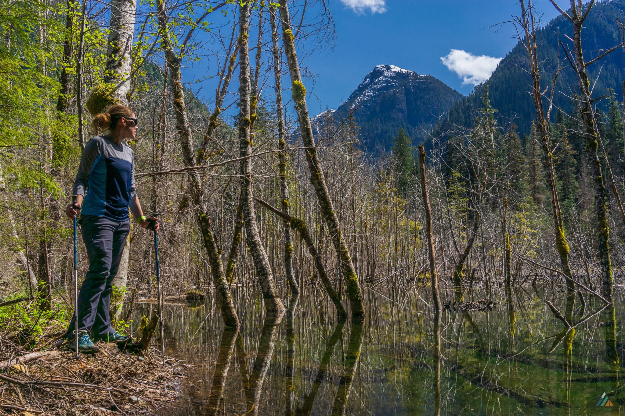 Elk River Trail - Strathcona Provincial Park • MB Guiding