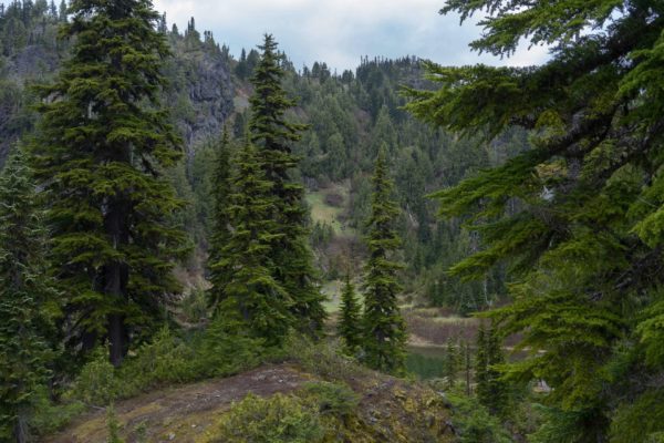 Skokomish & Upper Duckabush - Olympic National Park • MB Guiding