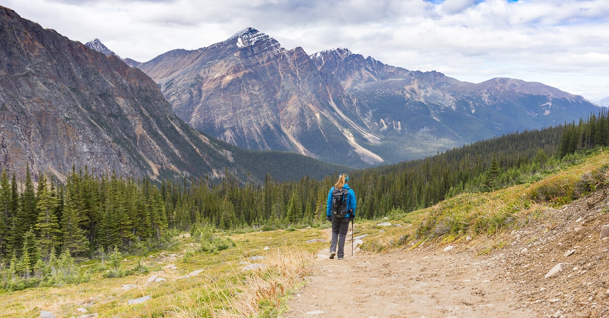 Cavell Meadows Trail - Jasper National Park • MB Guiding