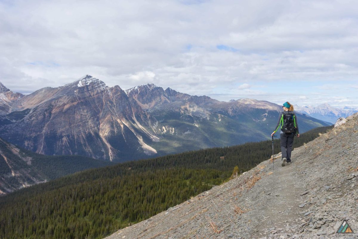 Cavell Meadows Trail - Jasper National Park • MB Guiding