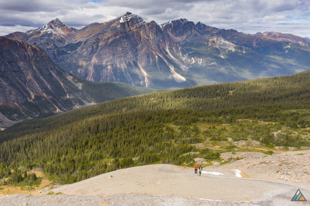 Cavell Meadows Trail - Jasper National Park • MB Guiding
