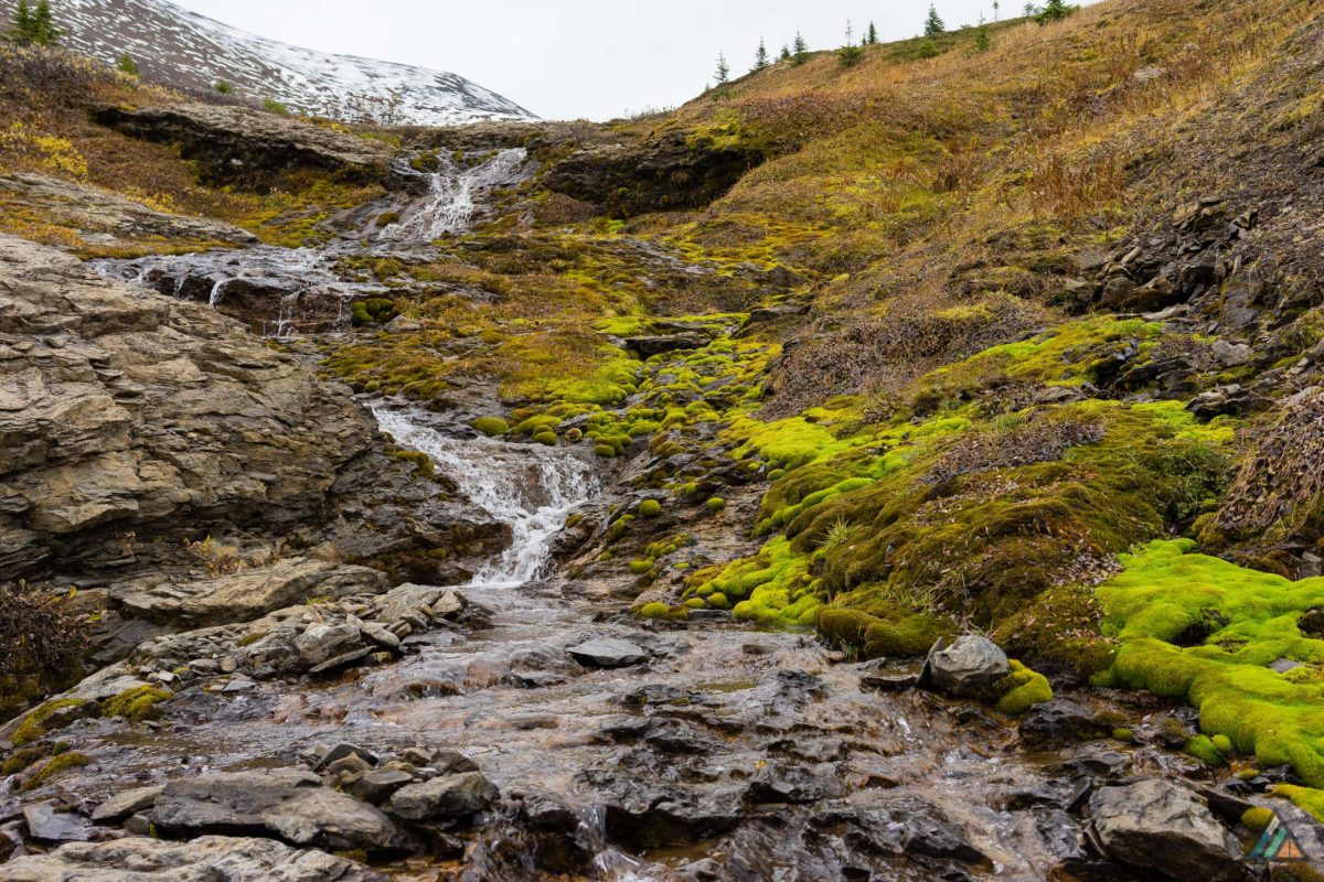 Opal Hills Loop - Jasper National Park • MB Guiding