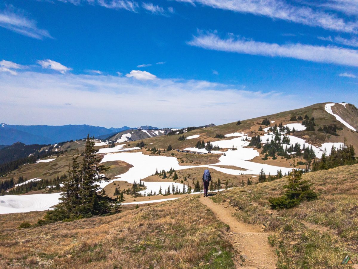 Grand Pass Trail - Olympic National Park • MB Guiding