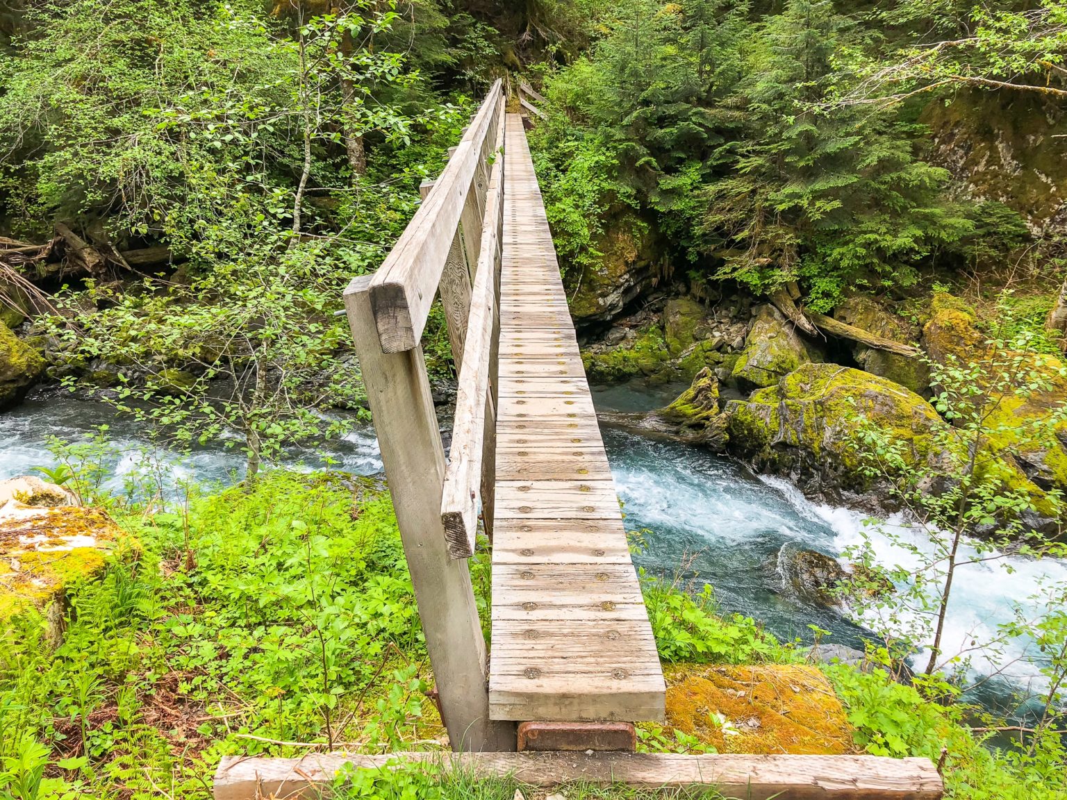 East Fork Quinault & Enchanted Valley - Olympic National Park • MB Guiding