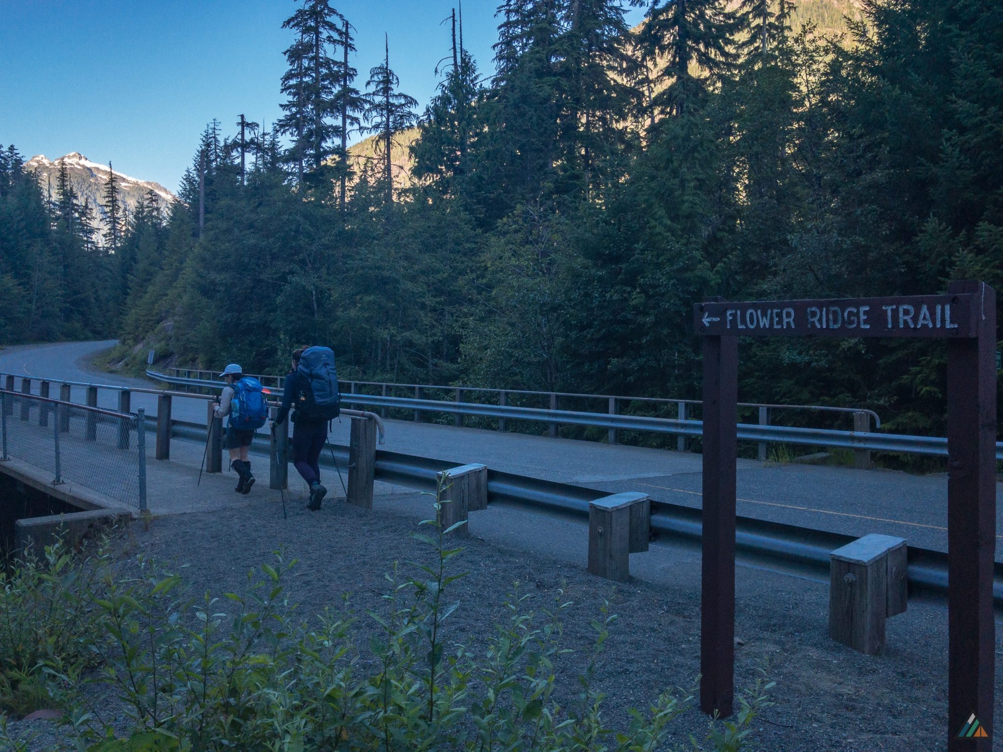 Flower Ridge Trail - Strathcona Provincial Park • MB Guiding