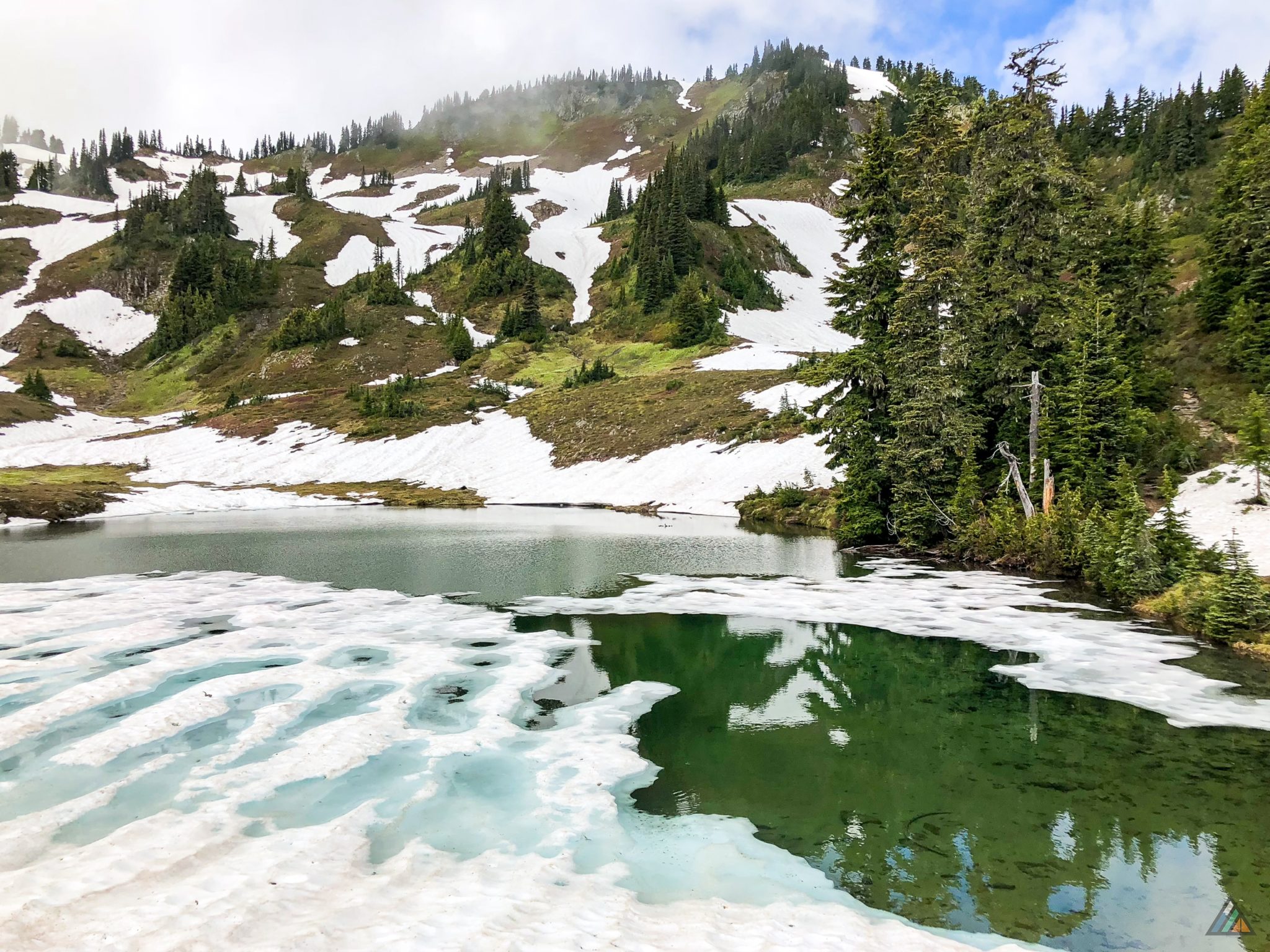 Sol Duc River Trail - Olympic National Park • MB Guiding