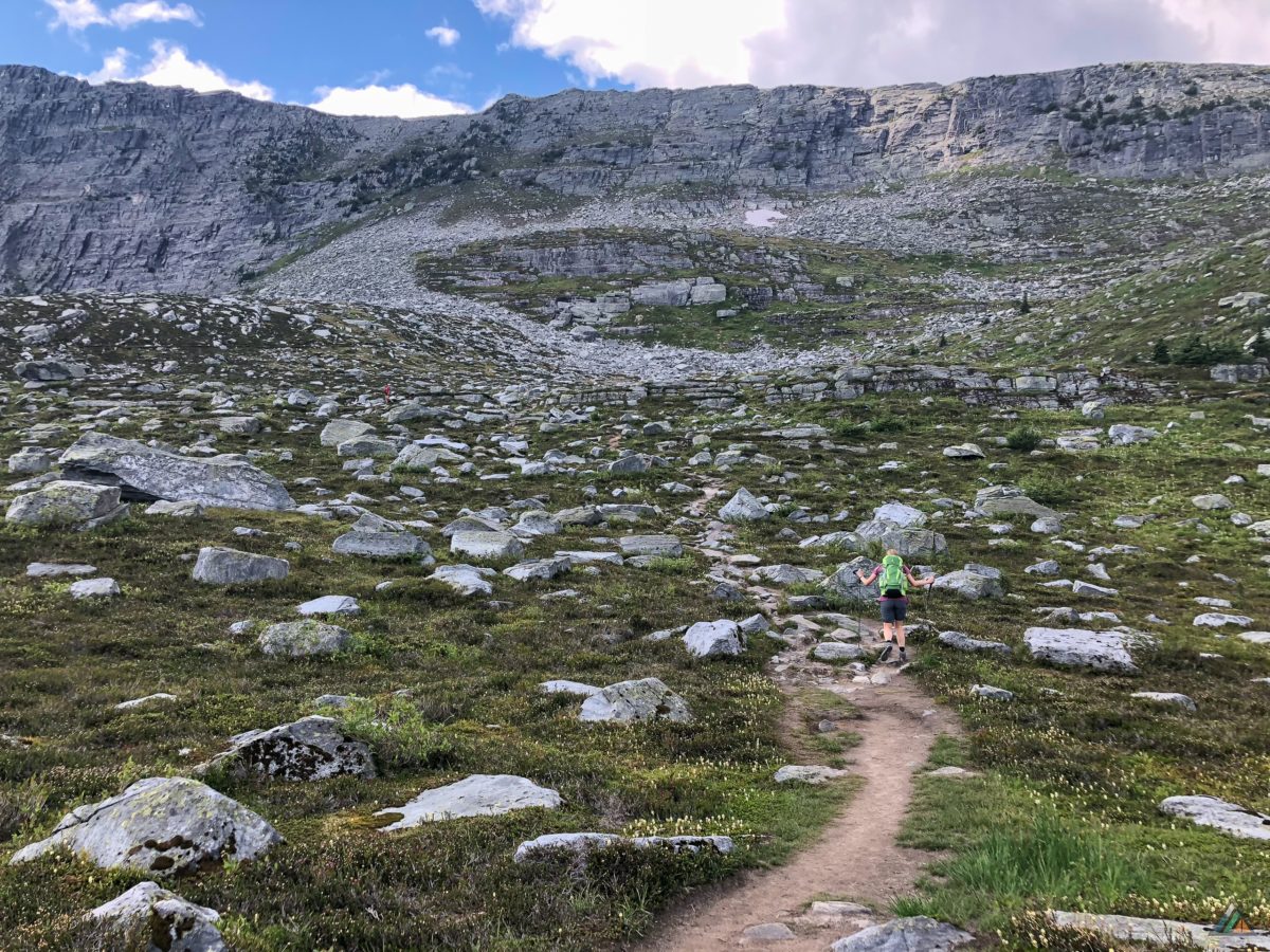 Abbott Ridge Trail - Glacier National Park • MB Guiding