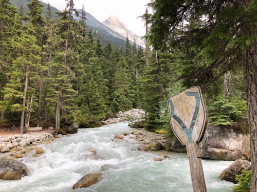 Abbott Ridge Trail - Glacier National Park • MB Guiding