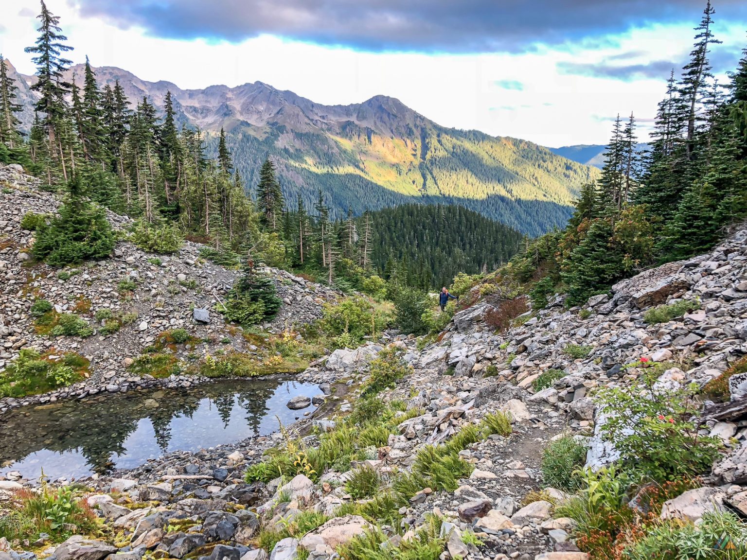 Hoh River Trail - Olympic National Park • MB Guiding