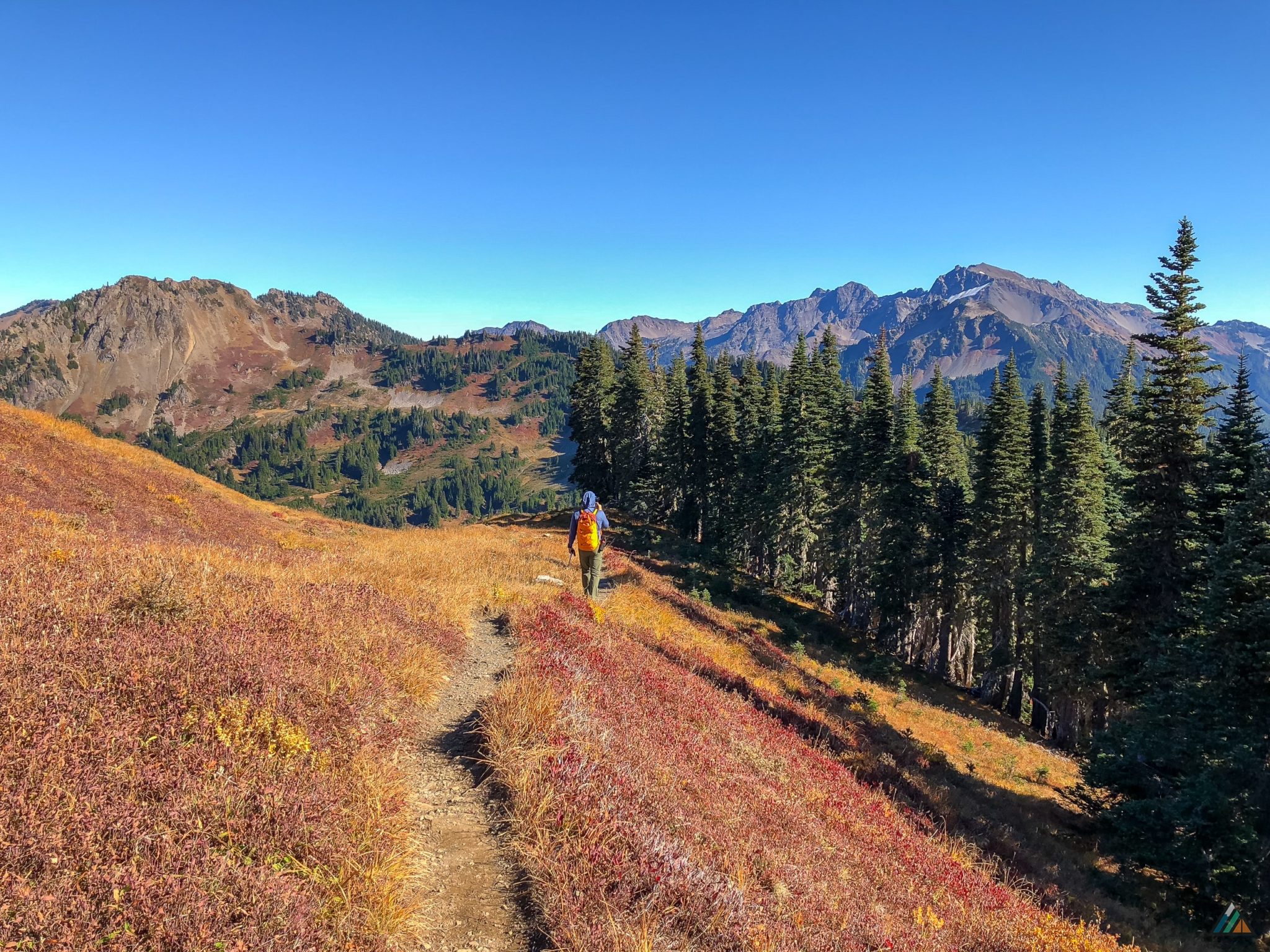 High Divide - Seven Lakes Basin - Olympic National Park • MB Guiding
