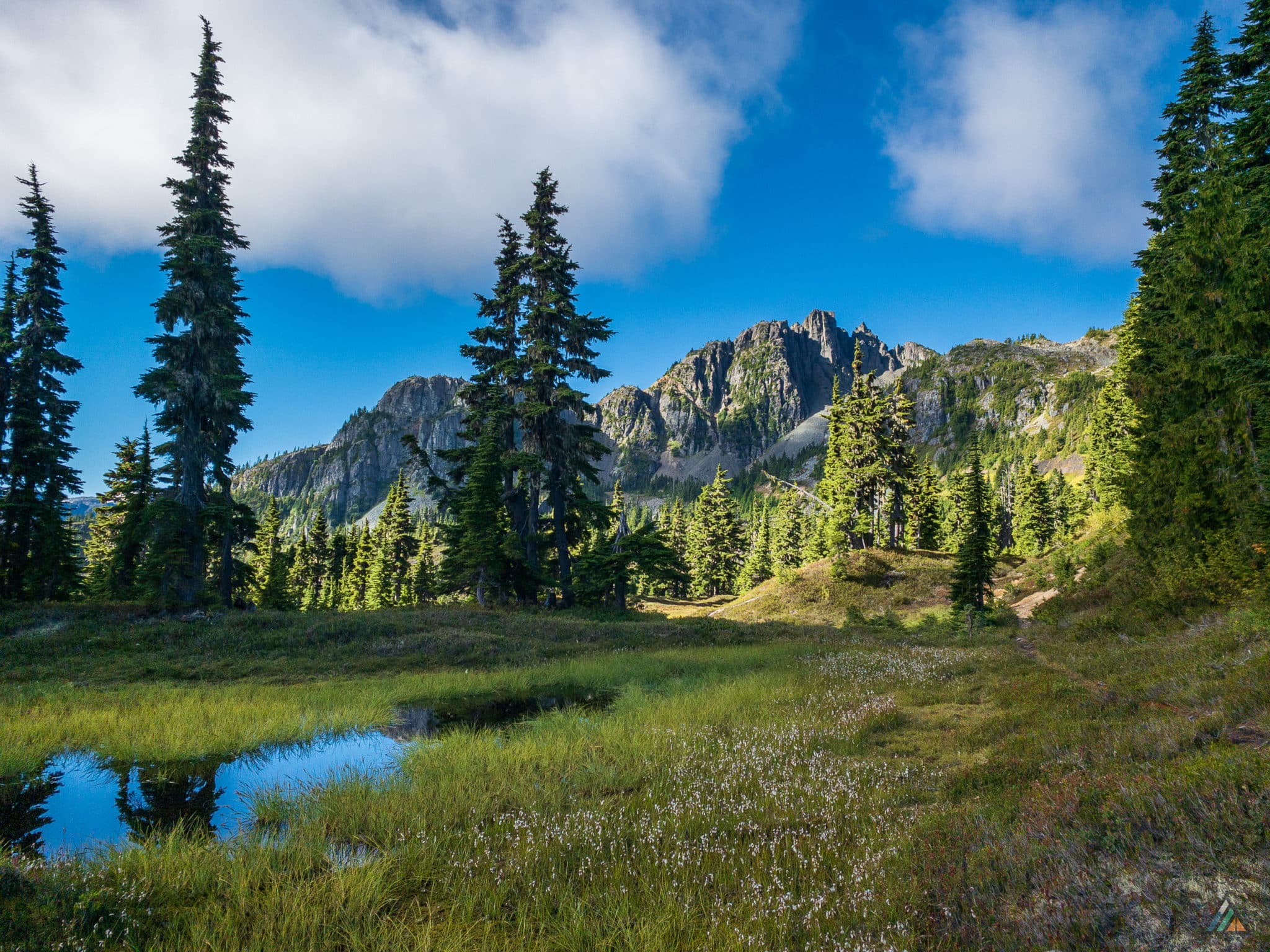 Moat Lake Circuit - Strathcona Provincial Park • MB Guiding