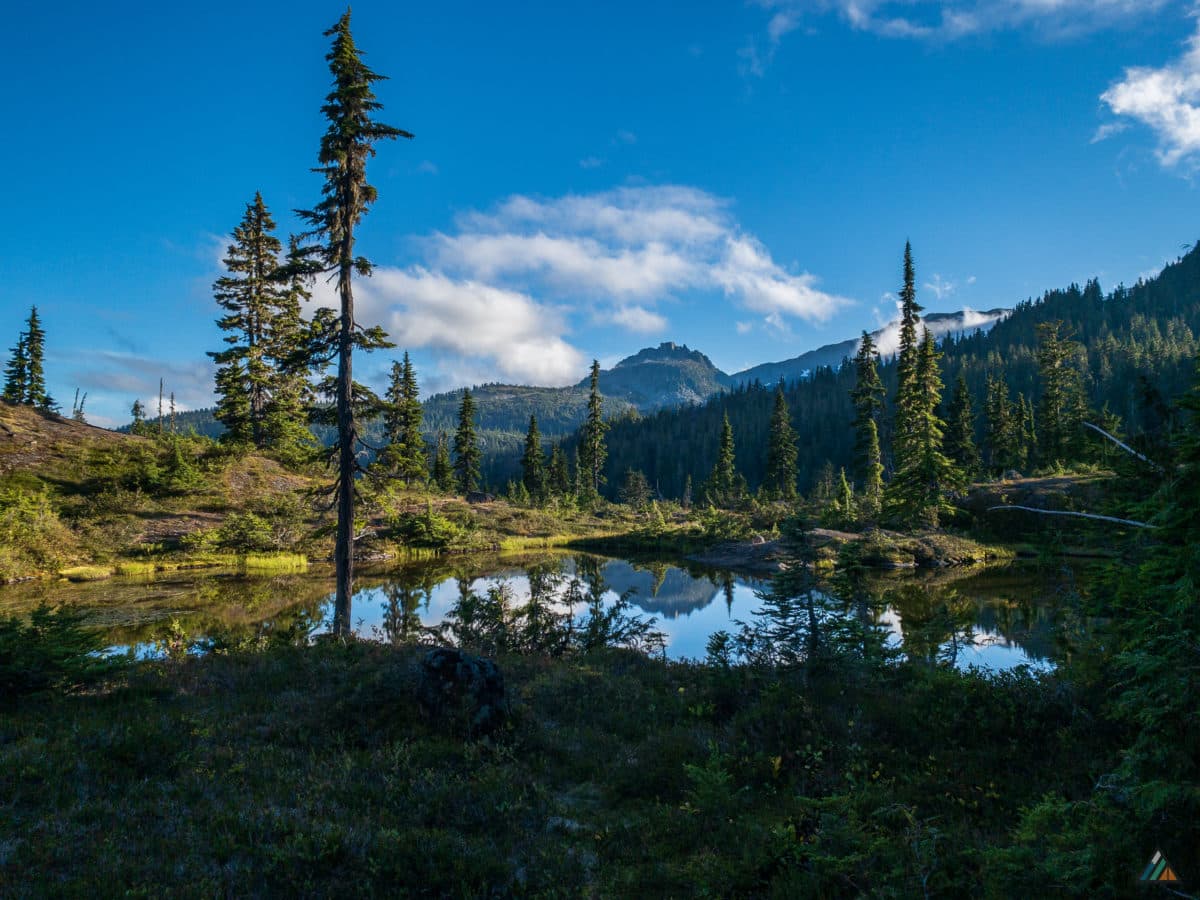 Moat Lake Circuit - Strathcona Provincial Park • MB Guiding