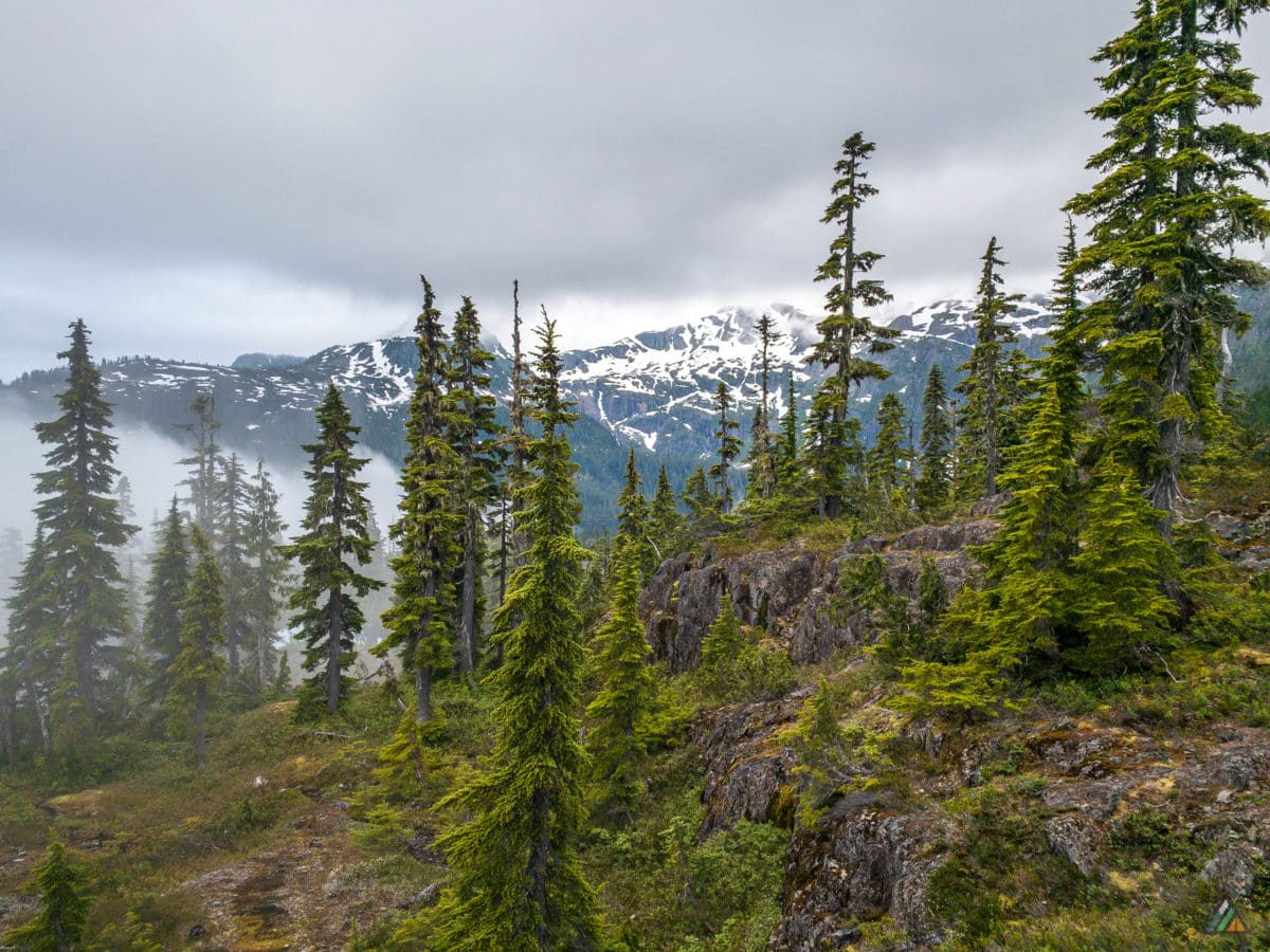 Moat Lake Circuit - Strathcona Provincial Park • MB Guiding