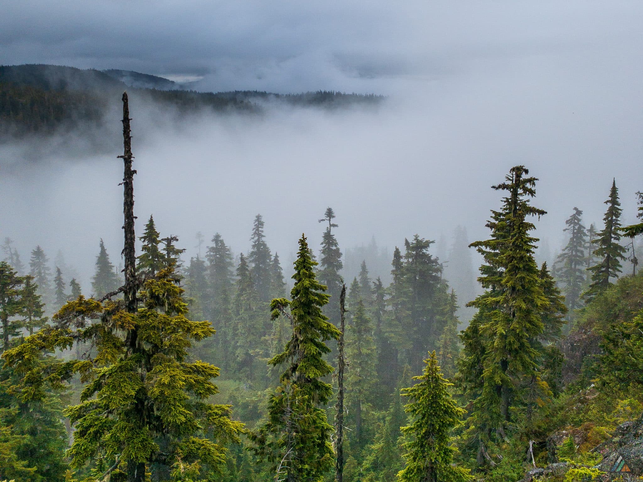 Moat Lake Circuit - Strathcona Provincial Park • MB Guiding
