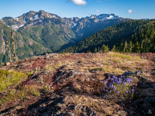 Flower Ridge Trail - Strathcona Provincial Park • MB Guiding