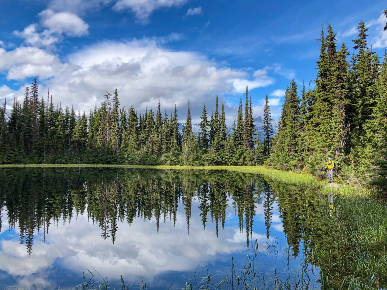 Abbott Ridge Trail - Glacier National Park • MB Guiding